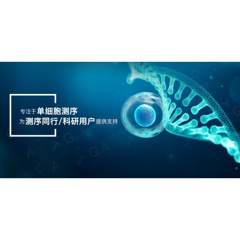 展品详情